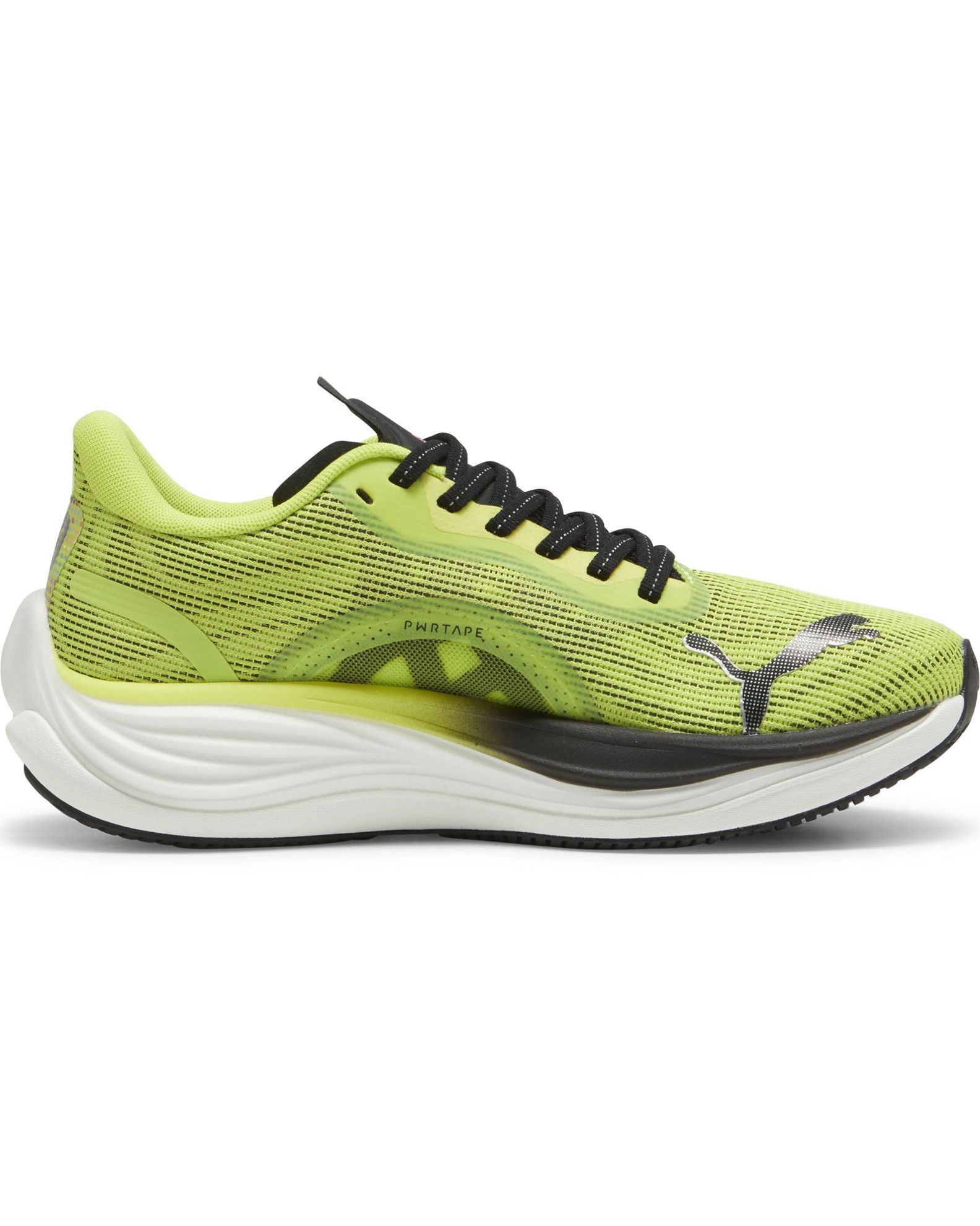 Globo E-Commerce - Calzature, Abbigliamento, Sport, Intimo, Accessori ...